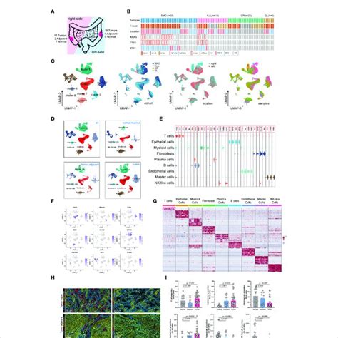 Integrated Single Cell Transcriptome Atlas Of Colorectal Cancer A B