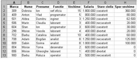 Lucrul Cu Baze De Date Excel