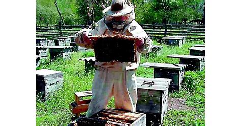 Използвайте помощни средства за да увеличите производството на мед Български Фермер