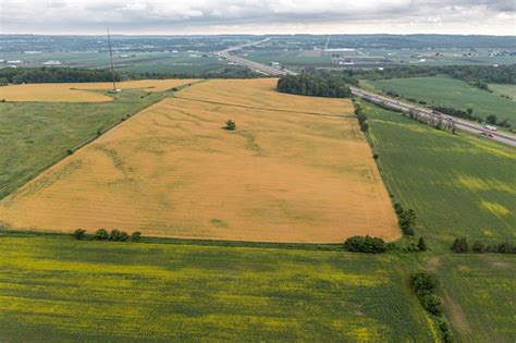 유채 밭과 고속도로 On400의 조감도 브래드포드 웨스트 그윌림베리 캐나다 0명에 대한 스톡 사진 및 기타 이미지 0명