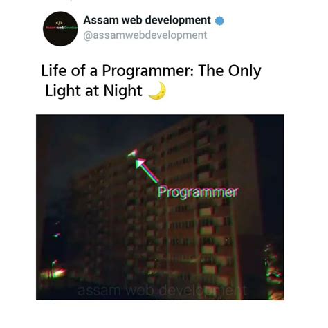 Best Programmer Whatsapp Status 💻🔥 Coding Webprogrammer Whatsappstatus Programming Youtube
