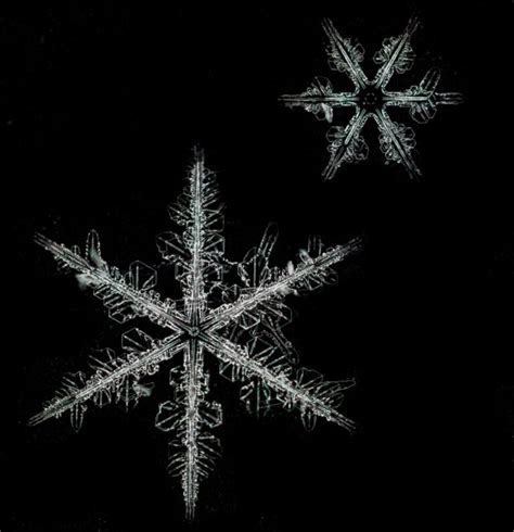 No Two The Same How Snowflakes Form Canadian Geographic