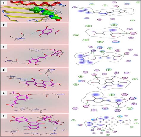 Predicted Interactions And Binding Patterns With The Active Site Of