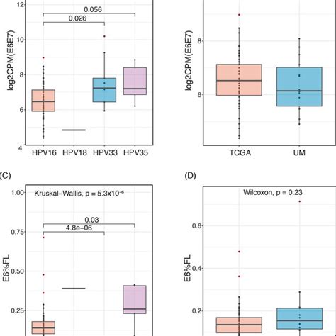 A Box Plot Showing The Normalized Rna Seq Expression Level Of Hpv E6 Download Scientific