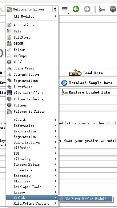 3d Slicer中文教程（六）—调用matlab函数（matlabbridge使用方法） Matwu 博客园