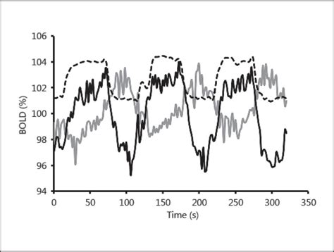the raw bold signal for 2 voxels from the same patient is shown one