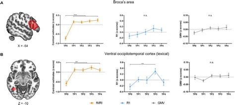 Time Course Of Functional And Structural Brain Reorganization During Download Scientific