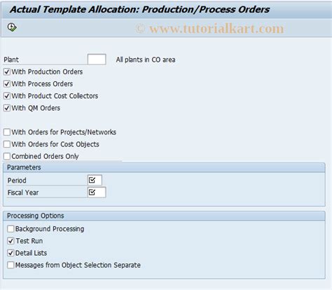 CPTD SAP Tcode Actual Template Allocation Production Orders