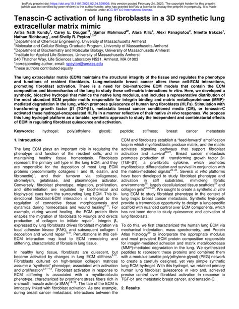 Pdf Tenascin C Activation Of Lung Fibroblasts In A 3d Synthetic Lung