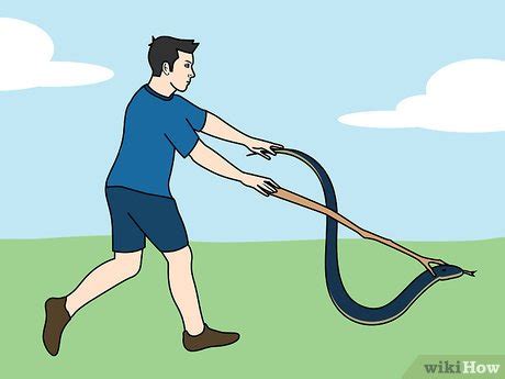 3 Ways To Catch A Snake WikiHow