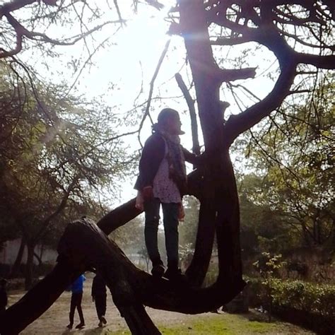 Megha Kumari Gupta Maharshi Dayanand University Noida Uttar