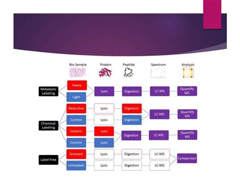 Genomics And Proteomics In Drug Discovery And Development Pptx