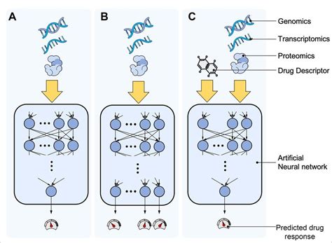 Artificial Neural Networks In Drug Response Prediction Can Be Download Scientific Diagram