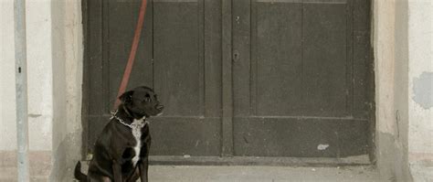 Managing Users Permissions With Cedar Policies In The Aws Lambda Dev Community