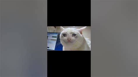 Has This Ever Happened To You 🥺 Coding Techfuture Codingmistakes Mistakes Ternding Youtube