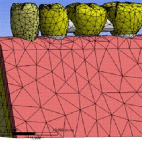 Finite Element Mesh Generated Over The Master Model Download Scientific Diagram