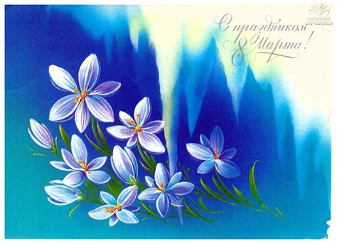 Iverieli სარვამარტო მისალოცი ბარათი