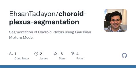 Github Ehsantadayonchoroid Plexus Segmentation Segmentation Of Choroid Plexus Using Gaussian