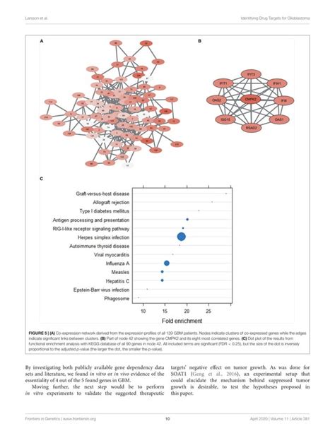 Genome Scale Metabolic Modeling Of Glioblastoma Reveals Promising