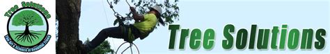 Tree Trimming Tree Solutions Springfield Mo Tree Service