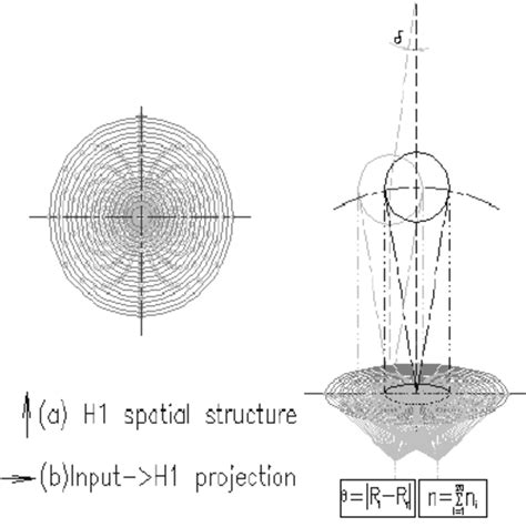 Snn Structure And Information Process Download Scientific Diagram