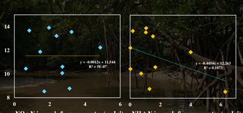 Relationship Between δ 15 N No 3 Values And No 3 N And Nh 4 N
