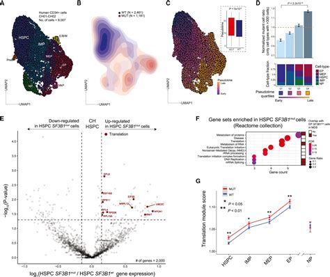 Single Cell Multi Omics Defines The Cell Type Specific Impact Of