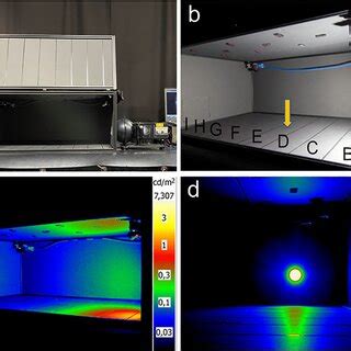 Schematic Picture Of The Luminance Source Download Scientific Diagram