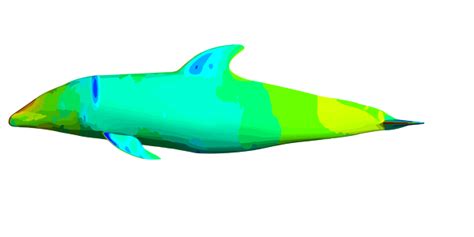 white beaked dolphin cfd simulation cfd simulations fetchcfd
