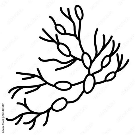 Alveoli Concept Pulmonary Veins Vector Outline Icon Design Organ System Symbol Human Anatomy