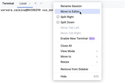 Terminal Webstorm Documentation