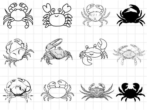 Crab Svg Bundle Crab Clipart Svg Files For Cricut Seafood Svg Crab Silhouette Crab Png
