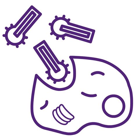 Insect Cell Bevs Expression General Info Protein Expression Facility University Of Queensland