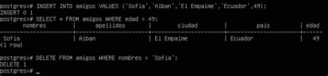 comandos básicos de sql postgresql primeros pasos