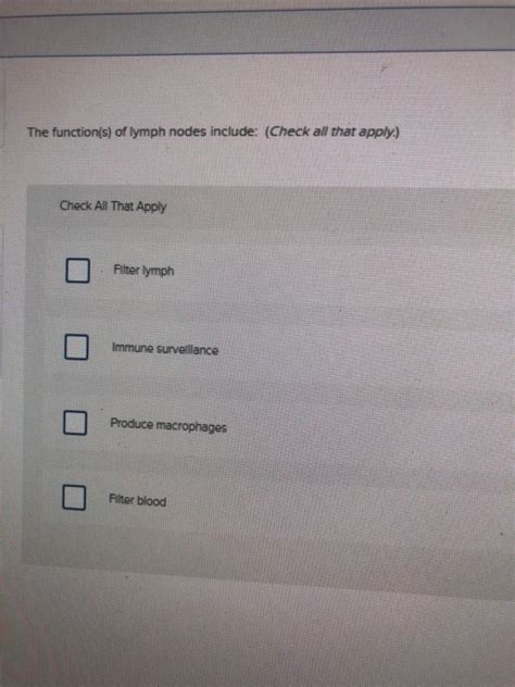 solved the function s of lymph nodes include check all