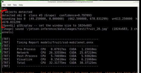 Re Trained Ssd Mobilenet Does Not Detect Fruit · Issue 1319 · Dusty Nvjetson Inference · Github