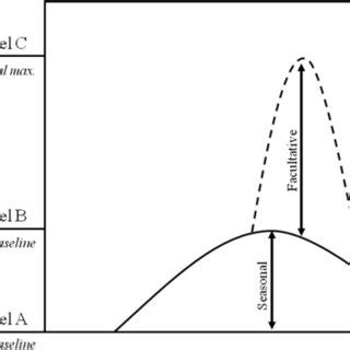 Representation Of The Androgen Changes Proposed By The Challenge Download Scientific Diagram