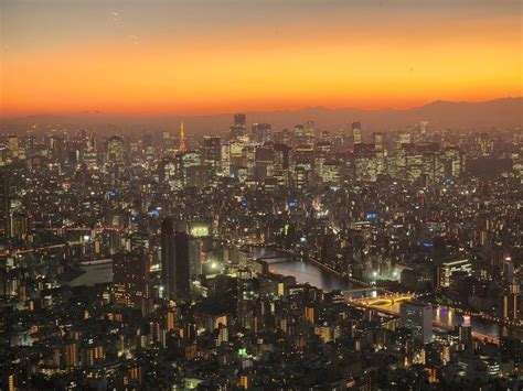 전망대에서 찍은 일본 도쿄 풍경 Mlbpark