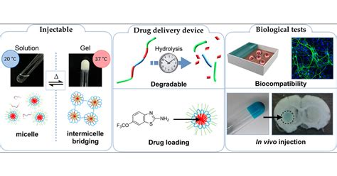 Biodegradable Hydrogels For Drug Delivery Cheap Retailers