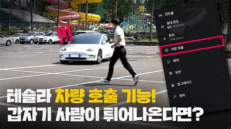 테슬라의 신기한 기능 차량호출 과연 장애물도 반응할까 대신해드립니다 Youtube