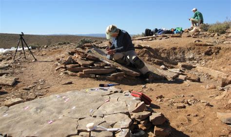 Early Life On Earth Lots Of Sex And No Predators