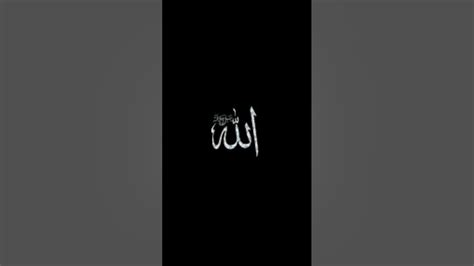 Viralvideo Talbiya Love Cat Youtube