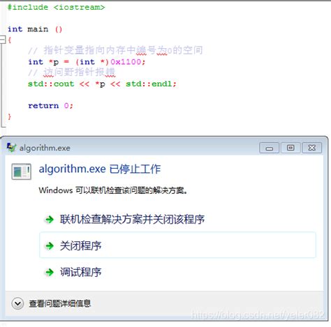 理解空指针与野指针 Csdn博客
