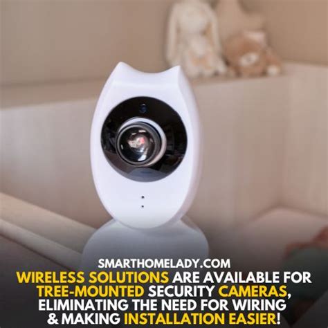 Can You Put Security Cameras On Trees Unveiling The Truth