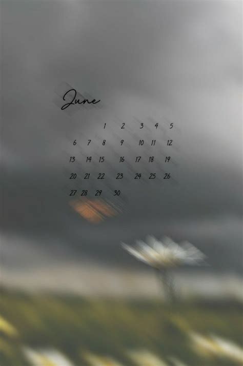 Июнь 2021 Доски для фотографий Календарь Обои