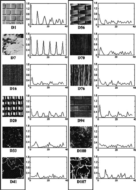 Twelve Textures In Brodatzs Album And Their Corresponding Feature Download Scientific Diagram
