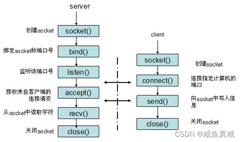 什么是socket csdn博客