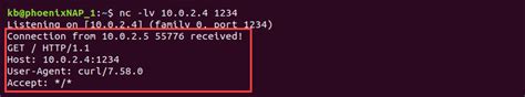 Nc Netcat Command Syntax Command Options Examples