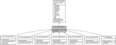 tvm tvm relax structinfo class reference
