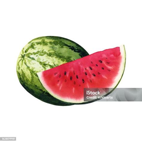 수박 구성 손으로 그린 수채화 그림은 흰색 배경에 분리되어 있다 엽서 인사말 카드 초대장 직물 인쇄물 배경 포장의 디자인을 위해 건강한 식생활에 대한 스톡 벡터 아트 및